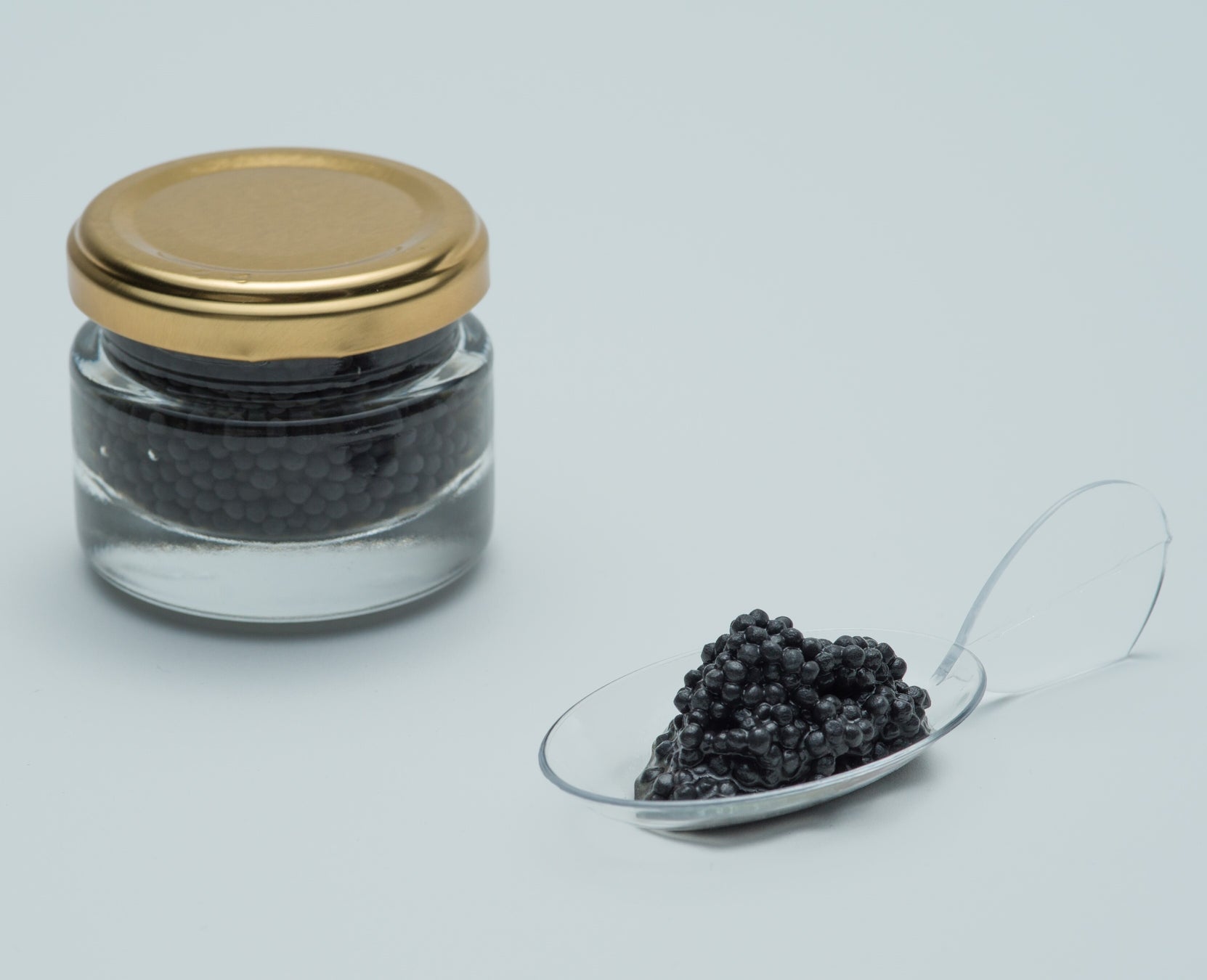 Drfoods、約1年をかけて「植物性キャビア」の開発に成功 食材の宝庫”である岩手発プロジェクトで地球を救う グルメプレス