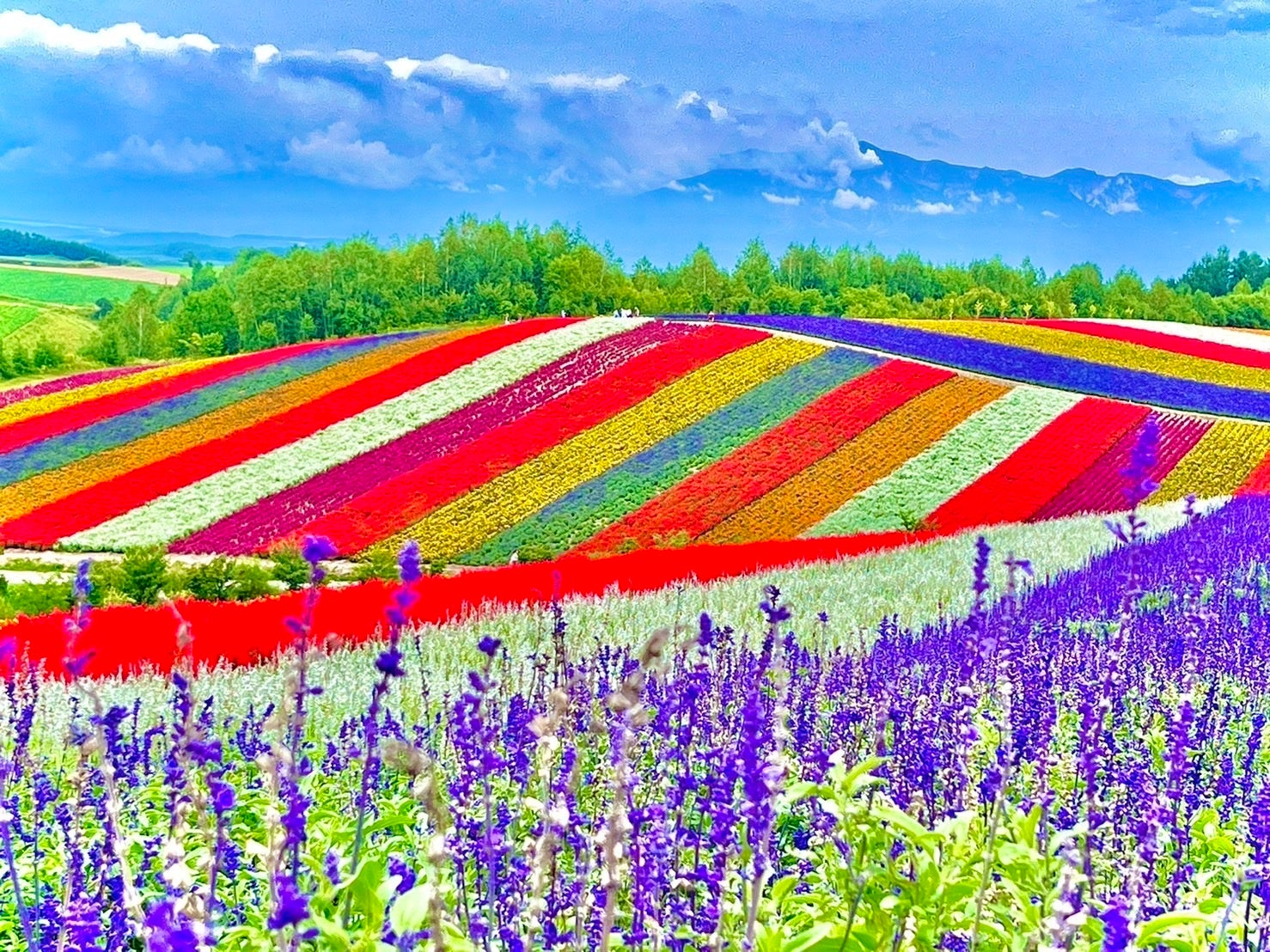 ”恋愛×観光×仕事” すべてを満喫できるワーケーション施設『COLAV-BIEI』が美瑛町に11月OPEN予定！ | 有限会社フォーシーズンの ...