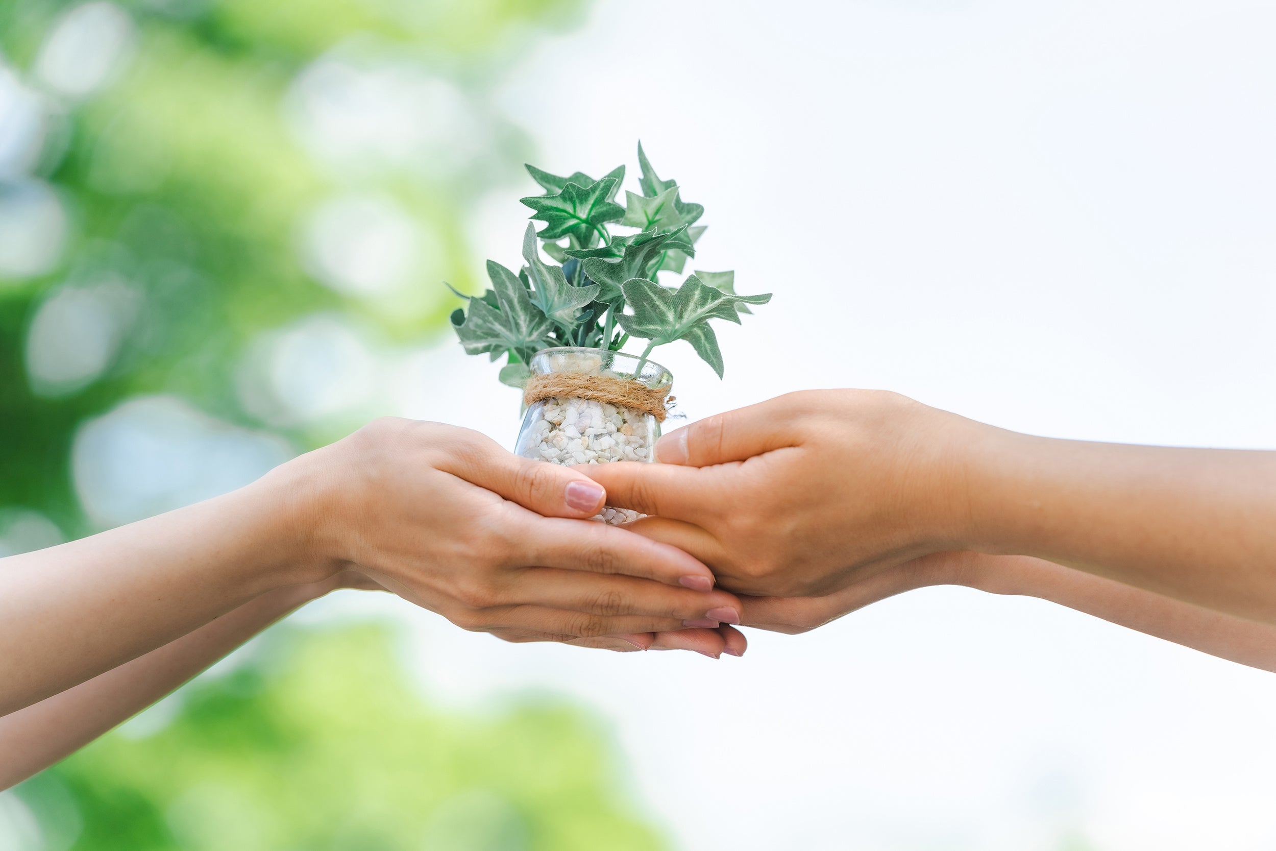 サイズアウトした子供服に関するお悩み解決 × SDGsをサービスに組み込んだサービスサイト「Chilsche」が2022年12月1日よりオープン | 合同会社チルシェのプレスリリース