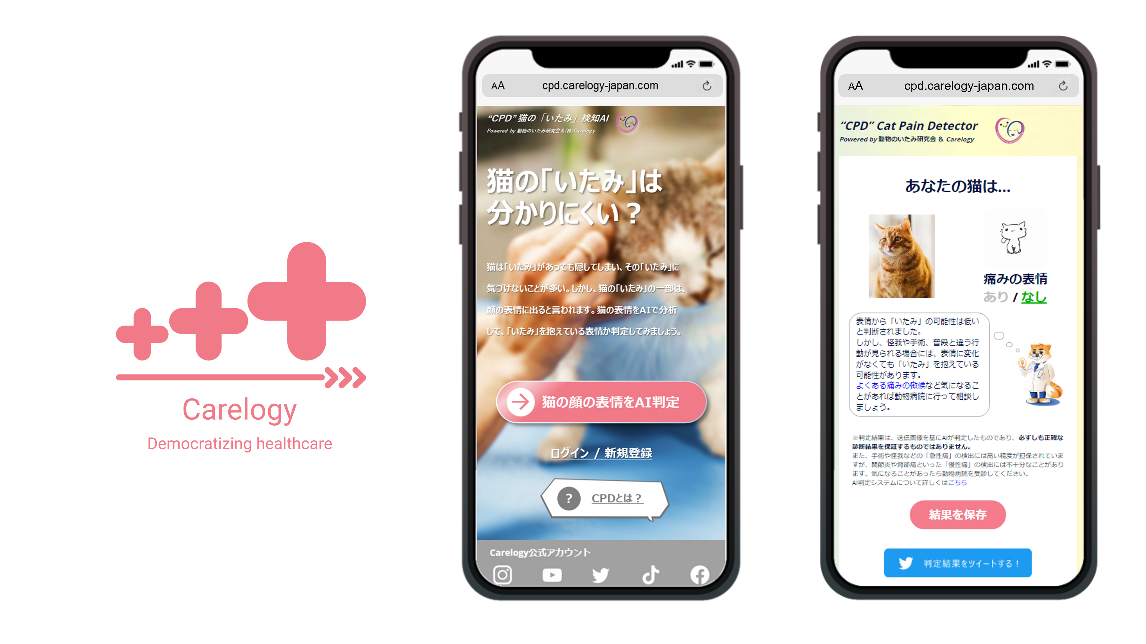猫の痛み検知AI「CPD」新たにフランス語・中国語バージョンをリリース | 株式会社Carelogyのプレスリリース