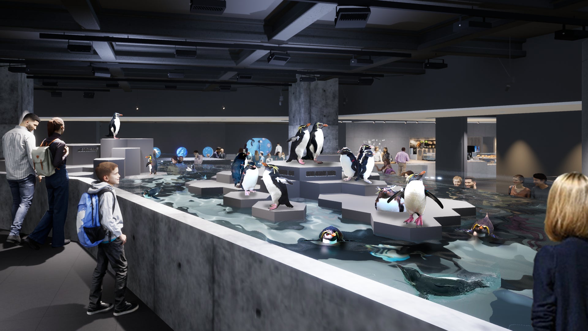 都市型水族館「aoao Sapporo」、展示について第2弾を発表 ペンギンが ホップする”展示水槽の導入を決定! トラベルスポット