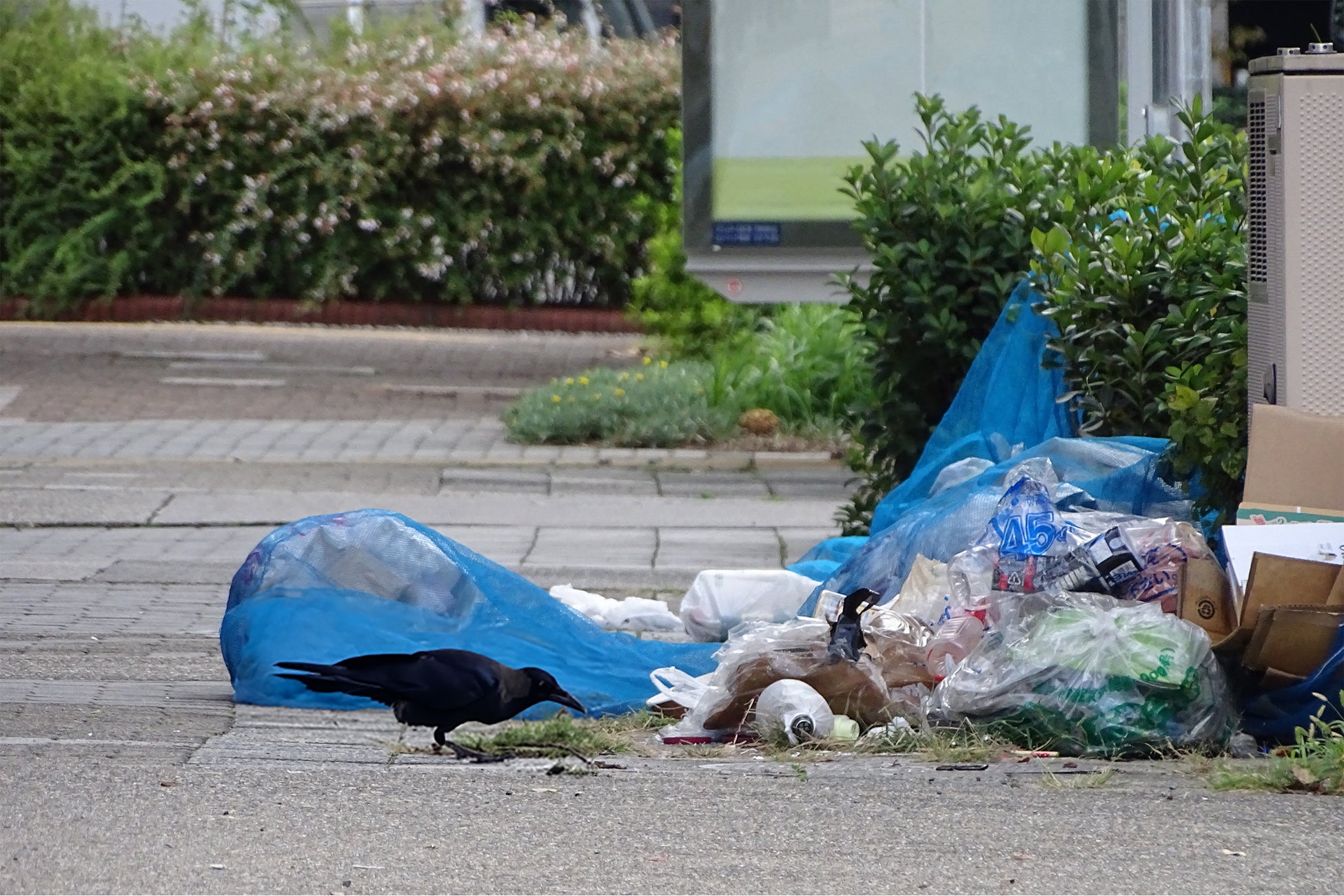 カラスなど害獣による「ゴミ荒らし問題」に終止符を!戸建て住宅や戸別回収のゴミ置き場をカラスや猫、イタチやタヌキなどの害獣から守る、巾着式ゴミ