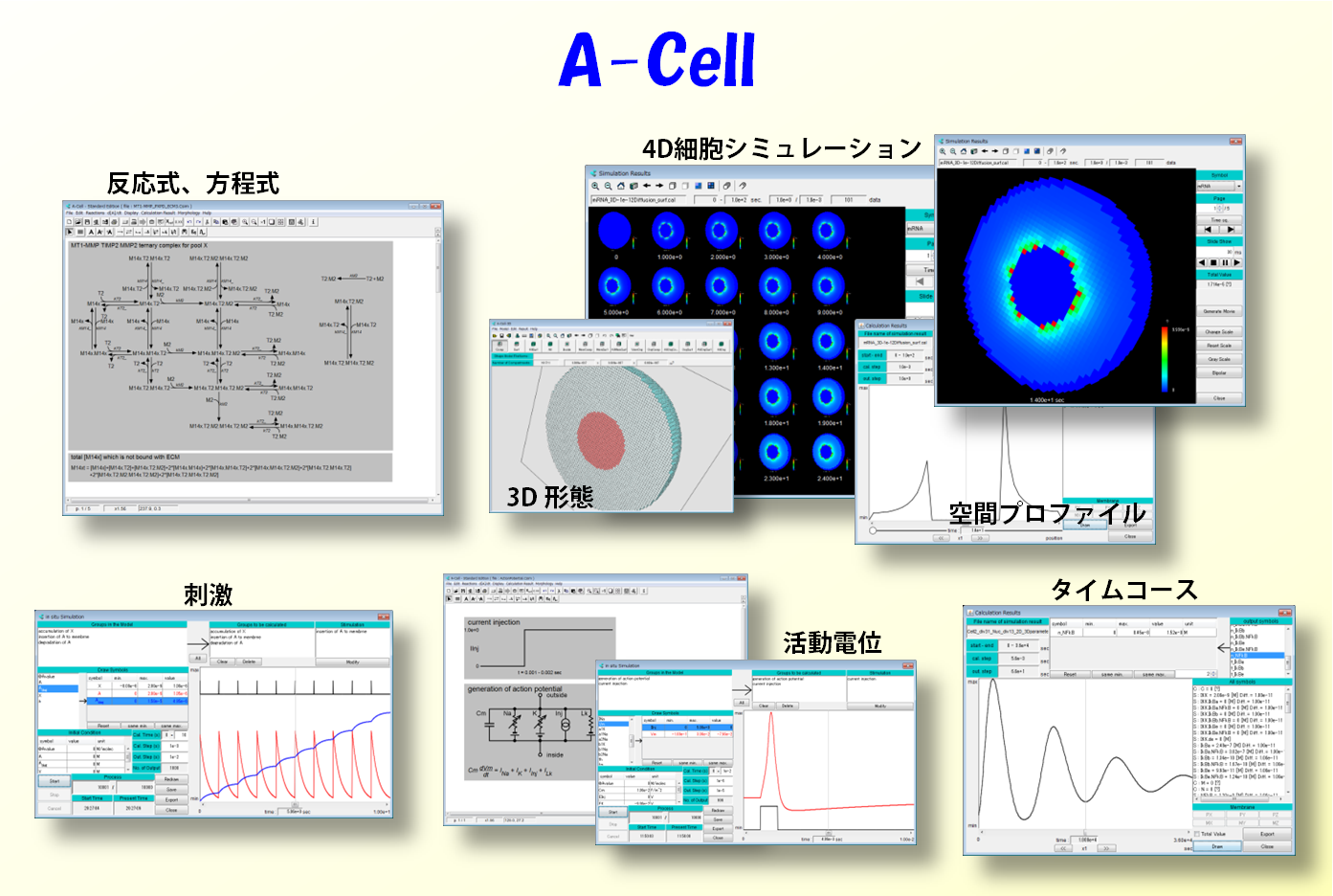 ”創薬、化粧品、食品研究開発の効率化”を生み出す「細胞シミュレーションの有効性とA-Cell」ウェビナー開催 | 株式会社 True Cell ...