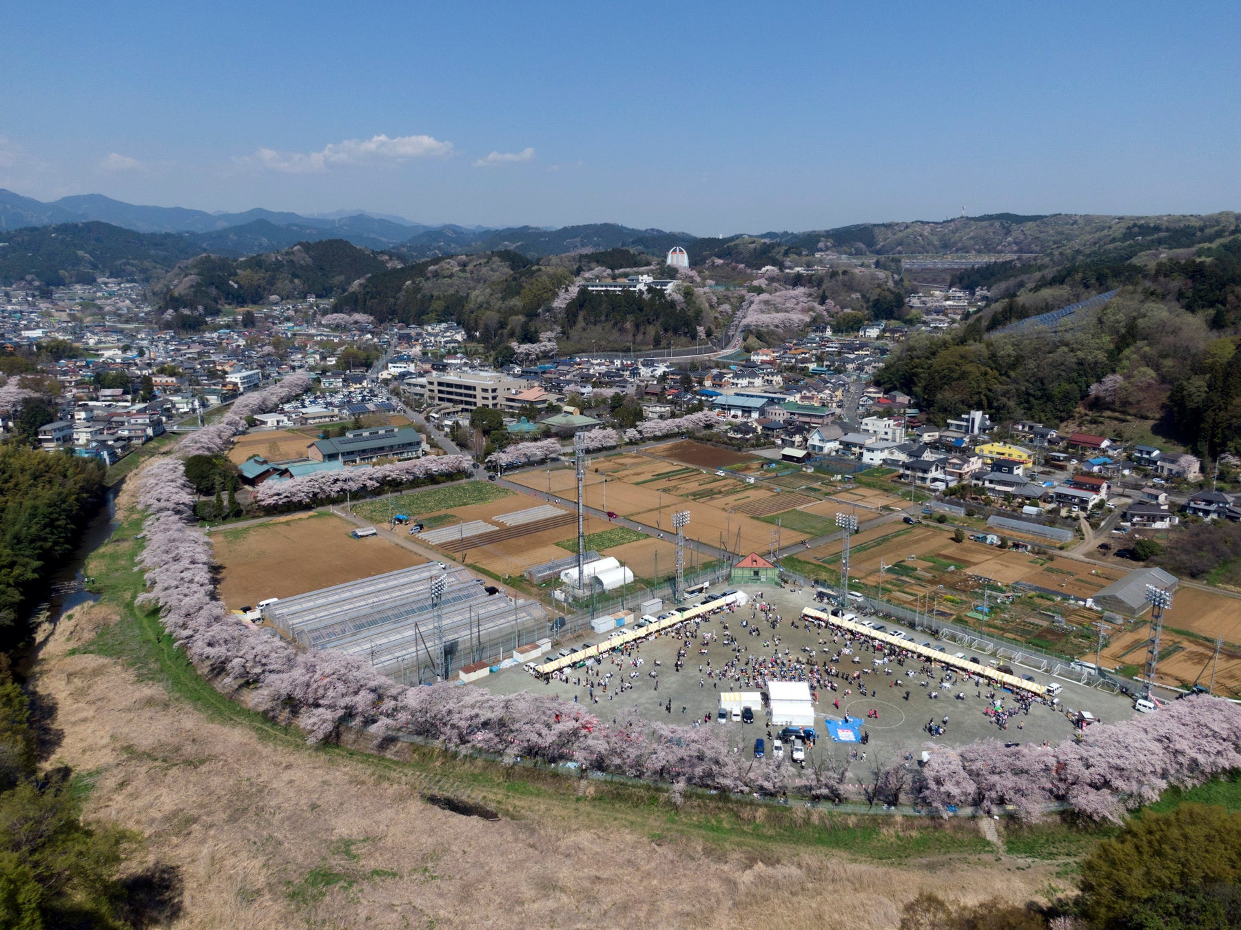 2024年3月30日桜並木ライトアップも!東京都西多摩郡日の出町「第34回ひので桜まつり」開催!多摩でイベント・スタンプラリー・フォトコンなど