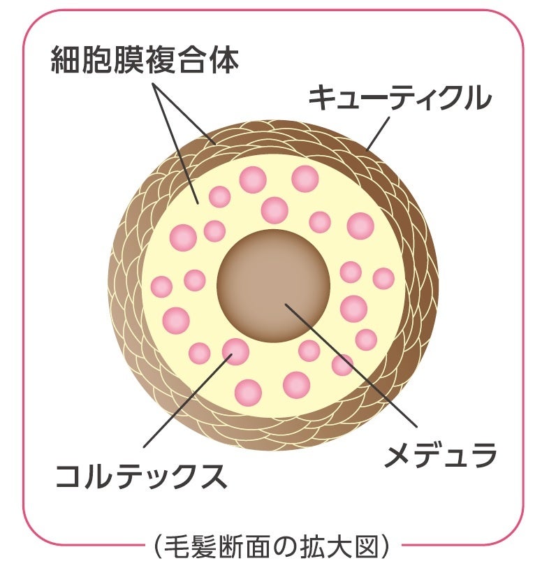 【マトメージュ】おでこに塗って前髪を固定する新発想のスタイリング剤「前髪グルー」が2022年3月14日月〜発売中😳🤍 Nom De