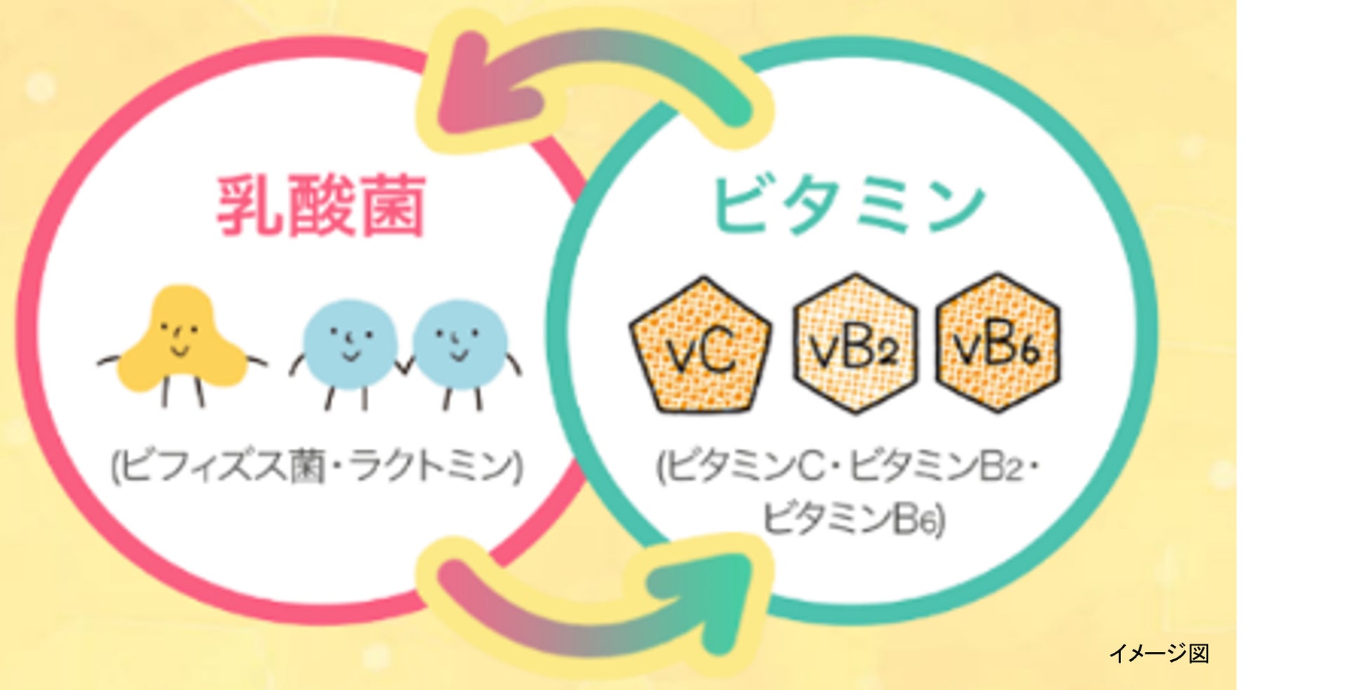 乳酸菌と3種のビタミンを配合した整腸薬「ビオフェルミン®vc」 新パッケージで発売 ビオフェルミン製薬株式会社のプレスリリース