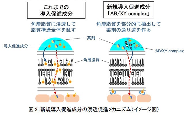 資生堂、薬剤の皮膚浸透を劇的に向上する新規導入促進成分を開発 ~化粧品成分を液体化する特殊技術により、高い薬剤効果と皮膚刺激低減の両立を実現