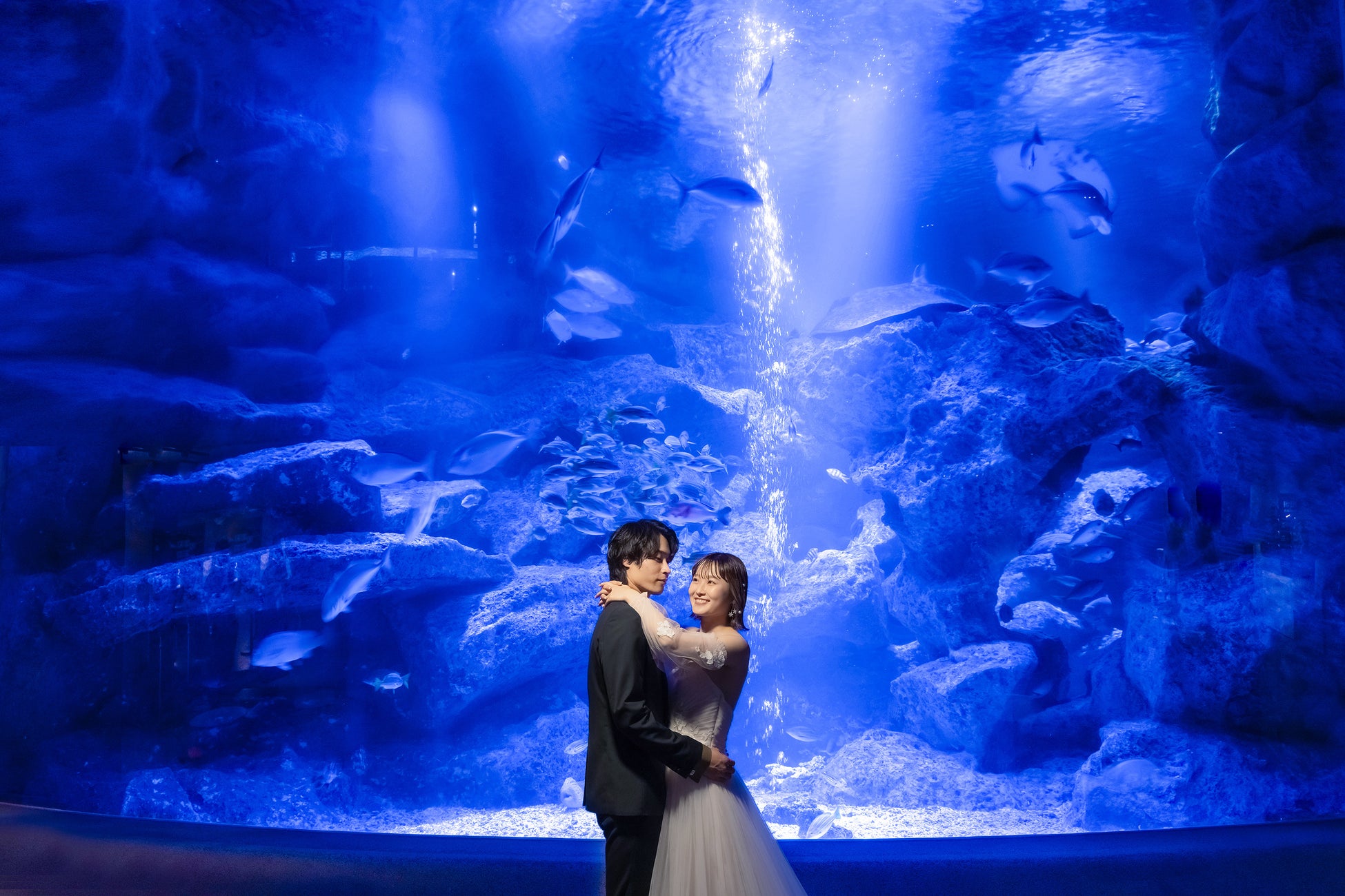 『すみだ水族館』で海のいきものたちと一緒に特別な結婚写真を。スタジオaqua浅草店で予約受付スタート 株式会社デコルテのプレスリリース