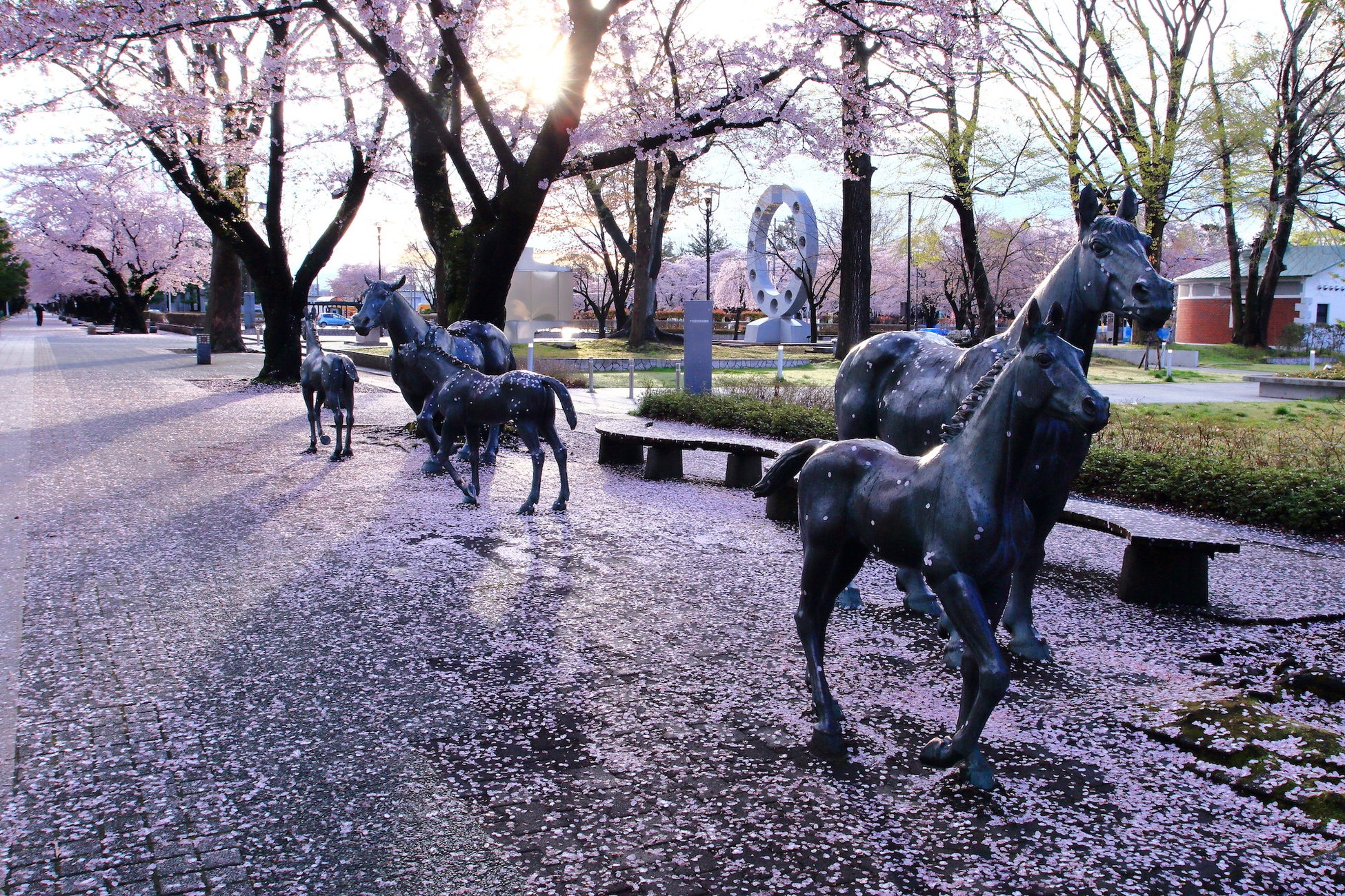 桜の早咲きを受け、十和田市春まつりの行事が一部前倒しで開催 トラベルスポット