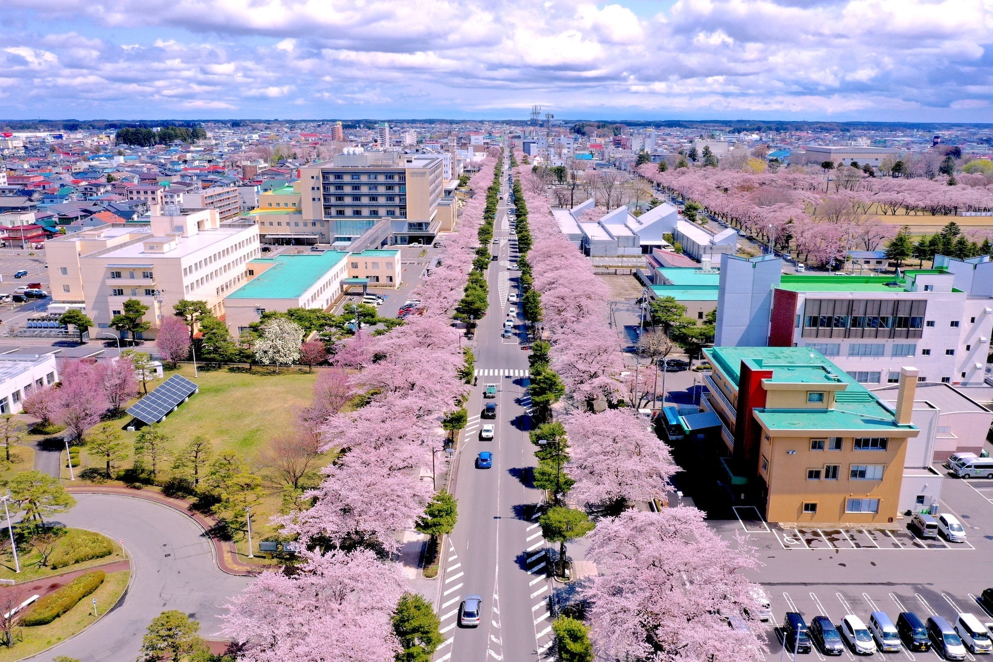 桜の早咲きを受け、十和田市春まつりの行事が一部前倒しで開催 一般社団法人十和田奥入瀬観光機構のプレスリリース
