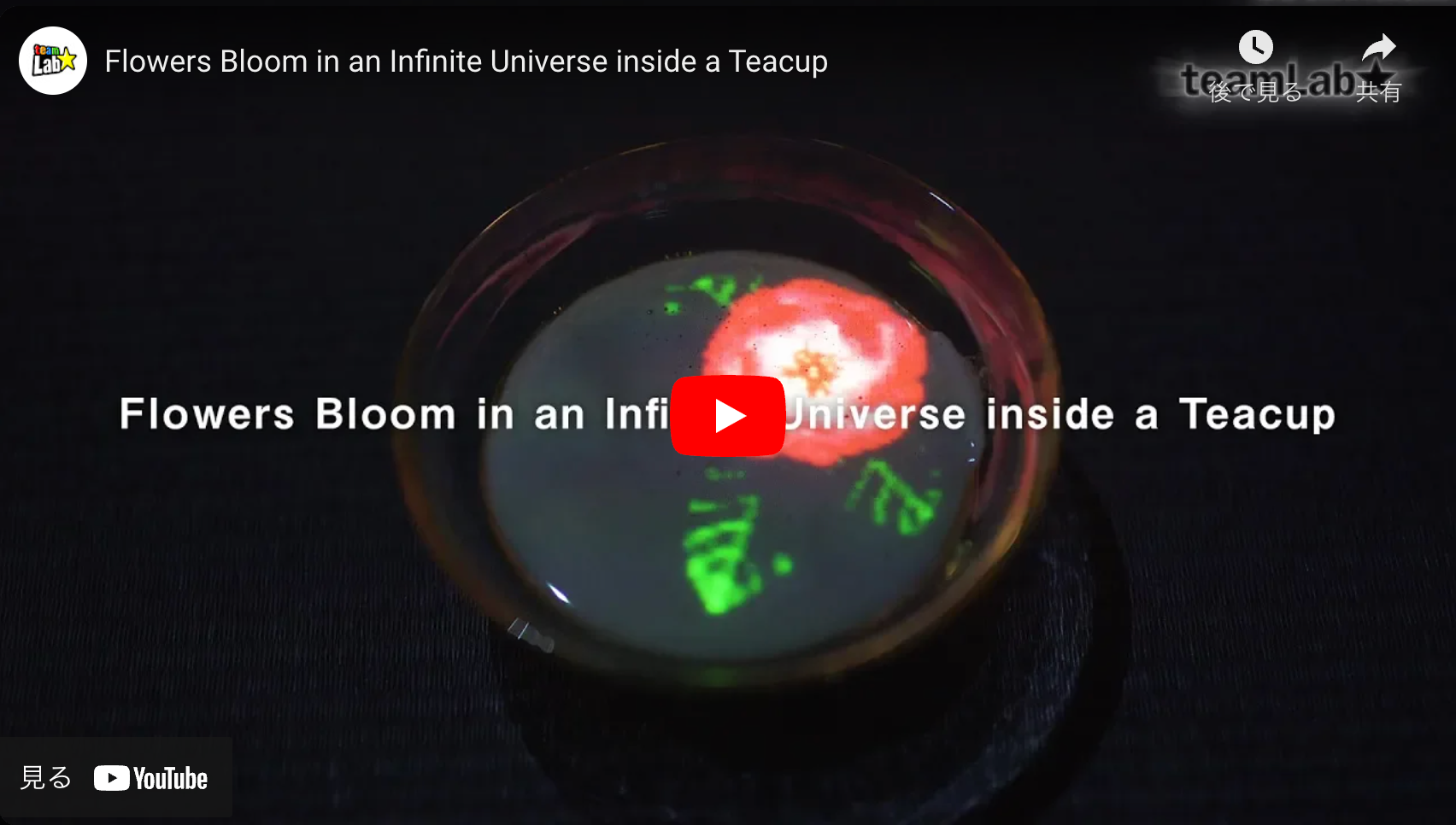 チームラボとEN TEAがコラボレーションした茶屋「EN TEA HOUSE」が、九州・御船山楽園に期間限定オープン。11月5日(日)まで ...