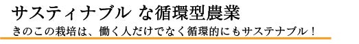 【広島県】 黄金きのこ”で食生活を豊かに。菌床栽培で実現!循環型農業。食を通じてサステナブルを身近に感じませんか? グルメプレス