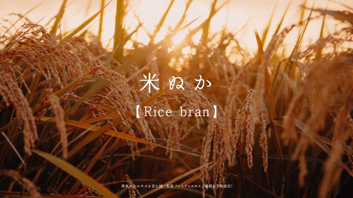 「永野芽郁」さん出演の「いち髪」新cm「秋の髪」篇10月28日(金)から放映 ~日本の四季、それぞれに着目した新シリーズ第一弾~ クラシエ