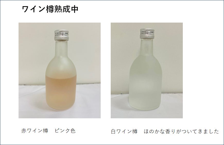 横川蒸留所がワイン樽熟成のウイスキー開始 樽詰め1週間で色あい 横川蒸留所がワイン樽熟成のウイスキー開始 樽詰め1週間で色あい
