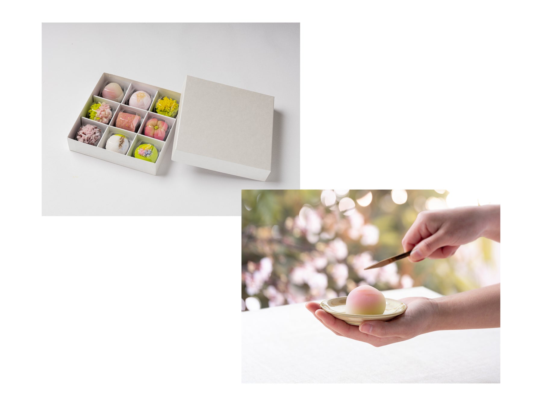 【オンラインショップ限定】2月20日より、春のうららかな季節や京都桜の情景を先取り。春限定「上生菓子四季撰 京の春”」を150箱限定で新発売