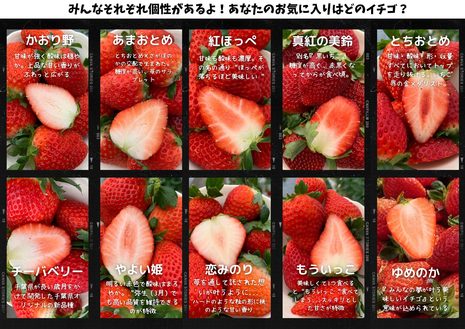 老舗キャンプ場が手掛ける低農薬でフレッシュないちごを楽しめる有野実ファームで、10種類の品種が食べられるいちご狩りが1月中旬から開始 有野