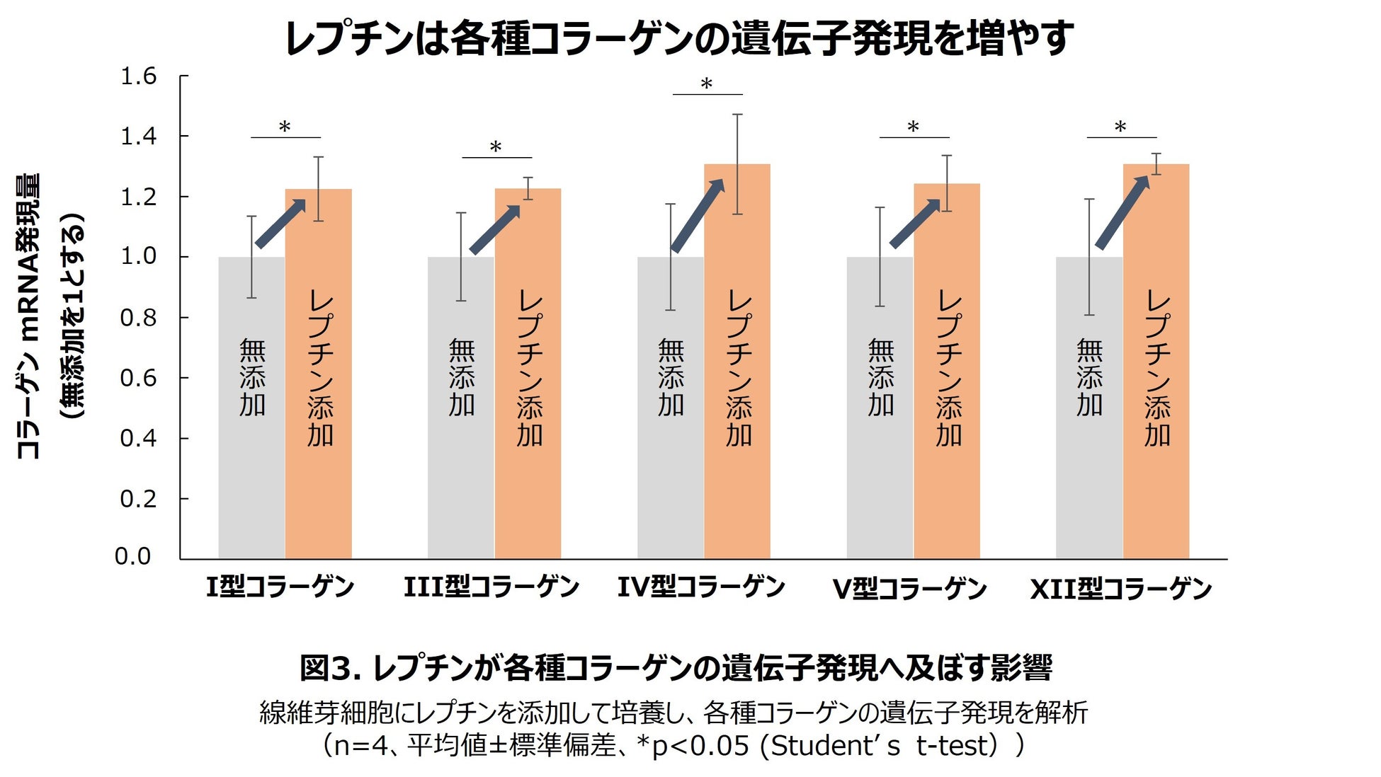赤色光が真皮線維芽細胞に働きかけてコラーゲンを増やすのに重要なレプチン産生を高めることを発見 ビューティーポスト